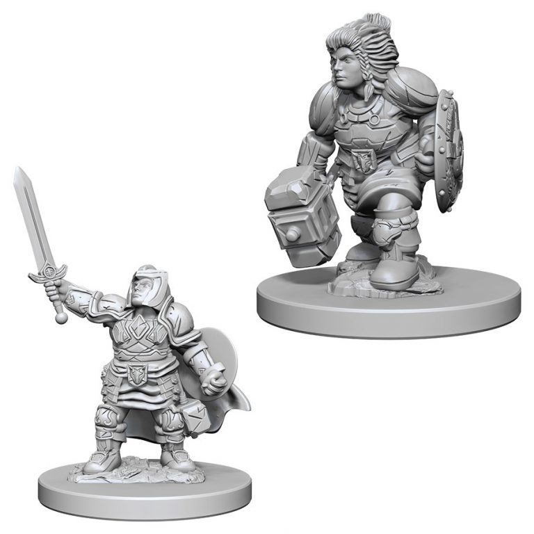 D&D NMU: W3 Dwarf Female Paladin – Crazy Squirrel Games & Toys
